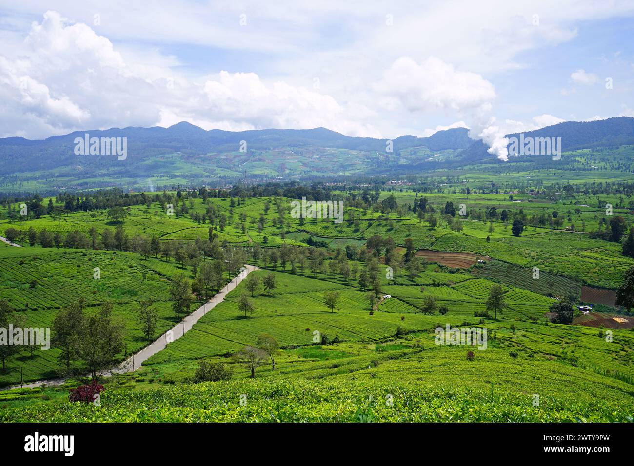Nimo Highland Park at Tea Plantation Pengalengan Bandung, West Java ...