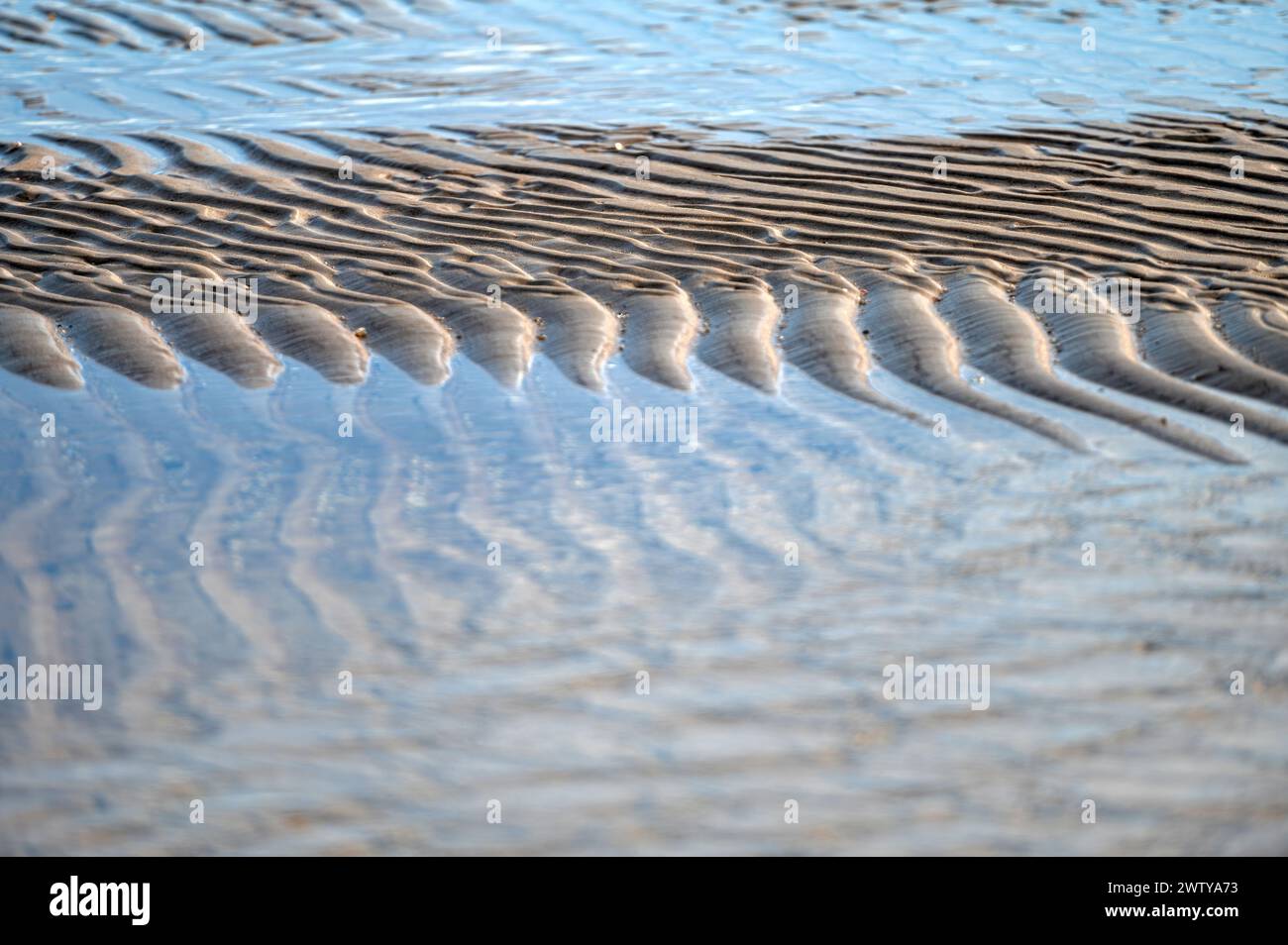Close-up of ripples in the water on a beach Stock Photo - Alamy