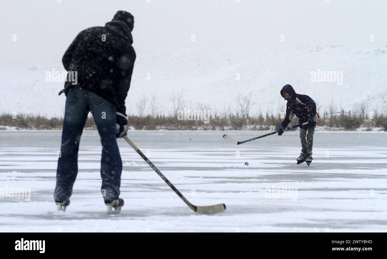 04/02/12...As snow begins to fall and temperatures plummet, Felicity ...