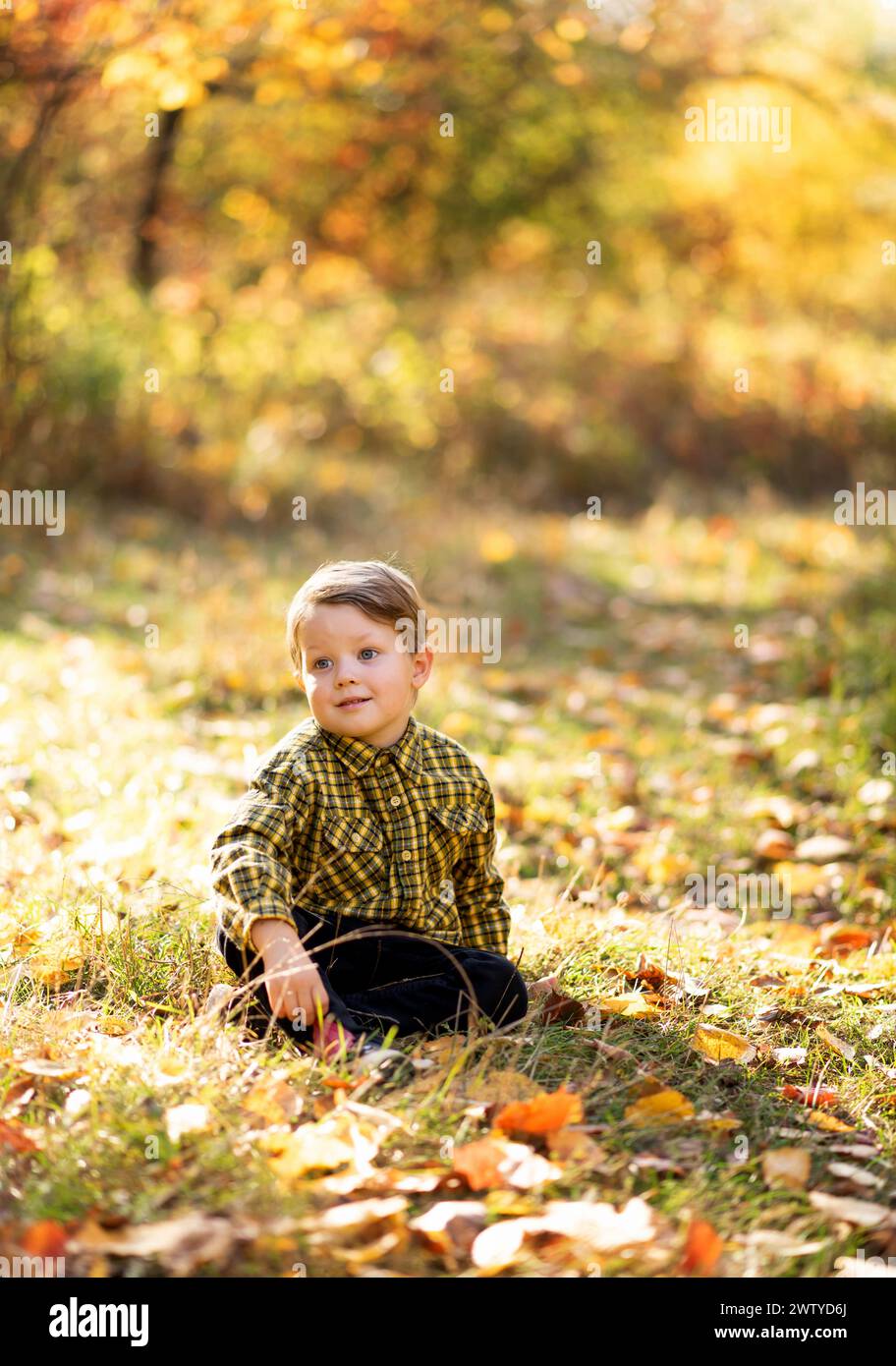A small fair-haired cute boy in a checkered yellow shirt is sitting on ...