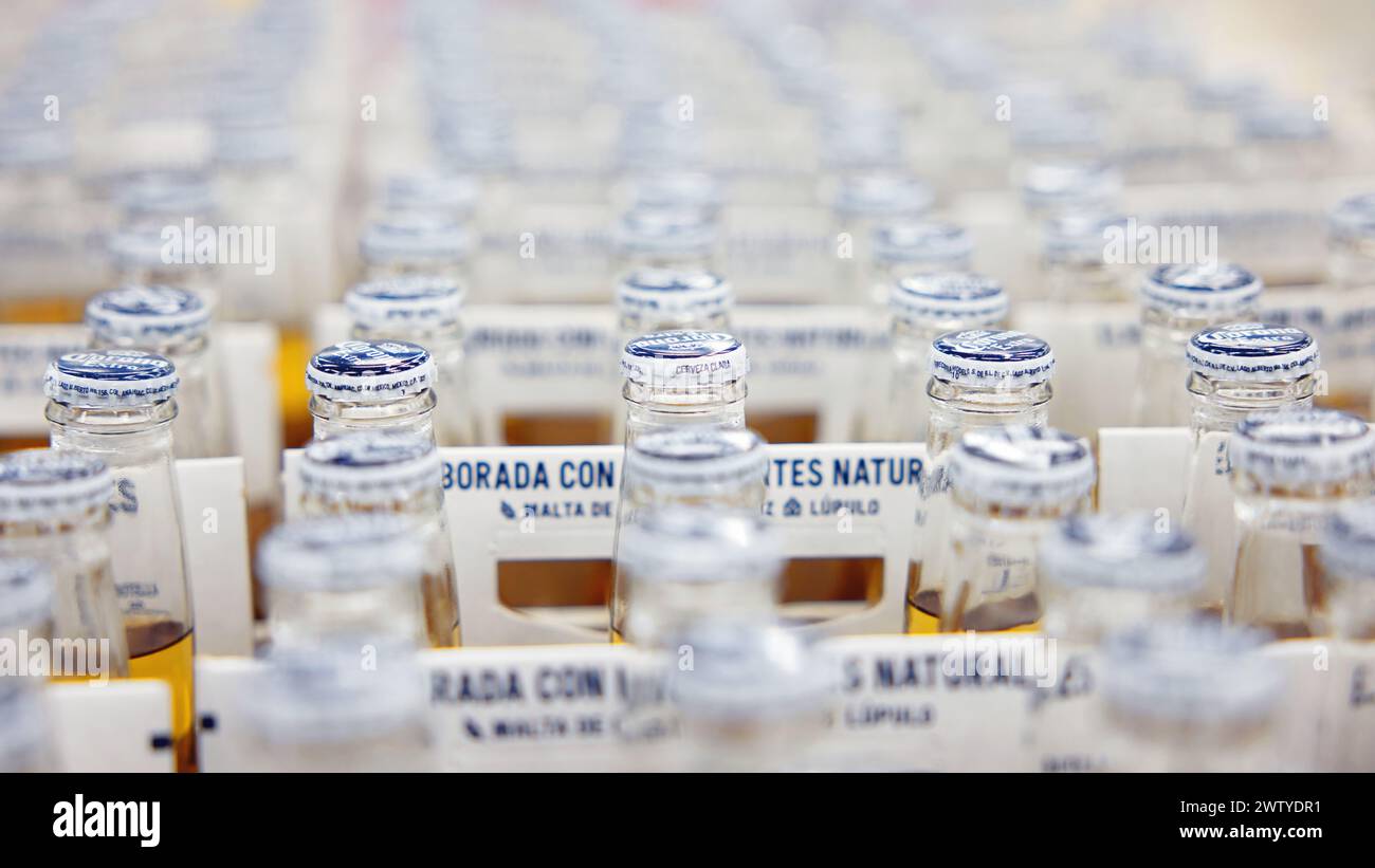 Corona Extra Beer sale, in beer boxes for 6 bottles, with handle. Pile ...