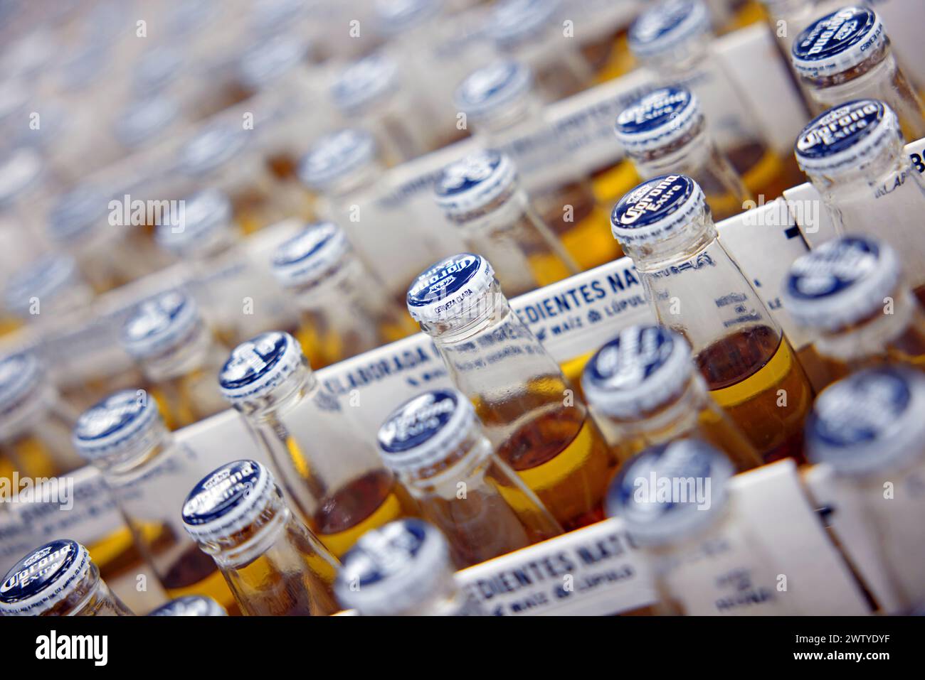 Corona Extra Beer sale, in beer boxes for 6 bottles, with handle. Pile ...