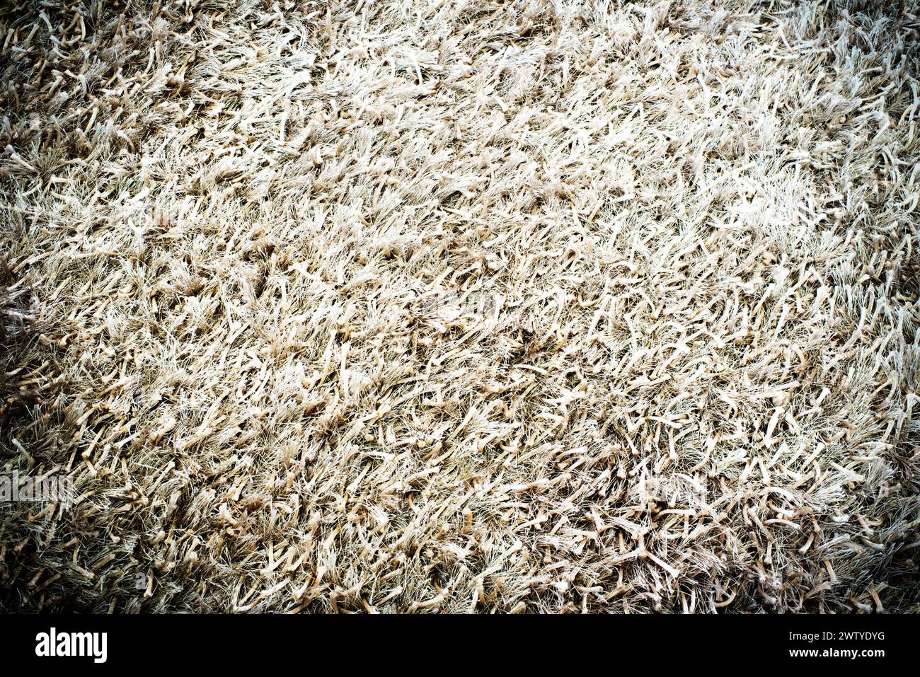 Zoom shape hi-res stock photography and images - Alamy