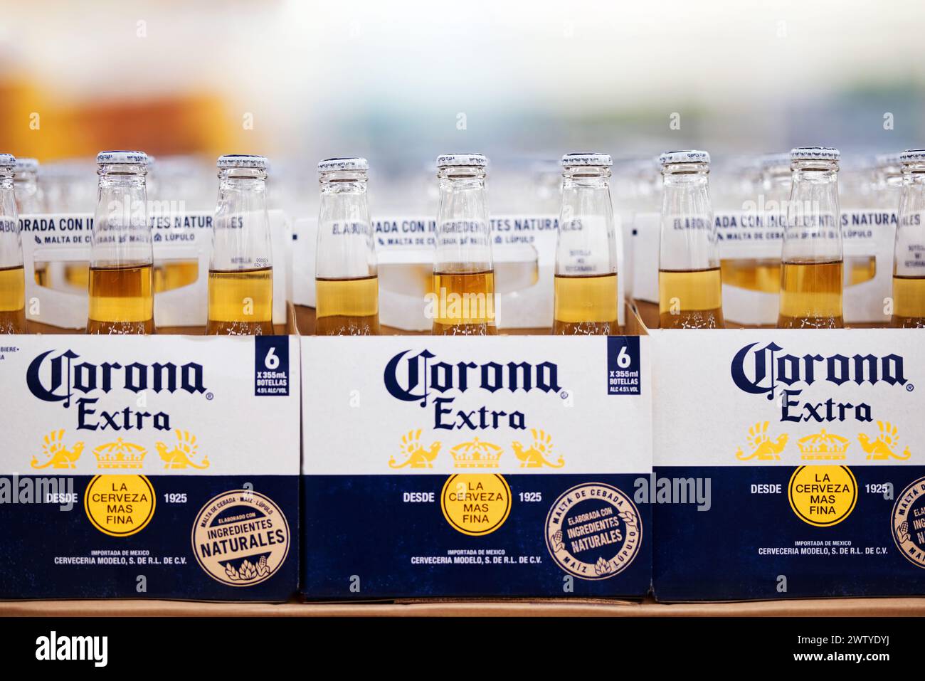 Corona Extra Beer sale, in beer boxes for 6 bottles, with handle. Pile ...