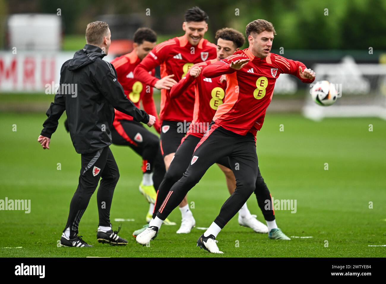 Wales joe rodon ahead hi-res stock photography and images - Alamy