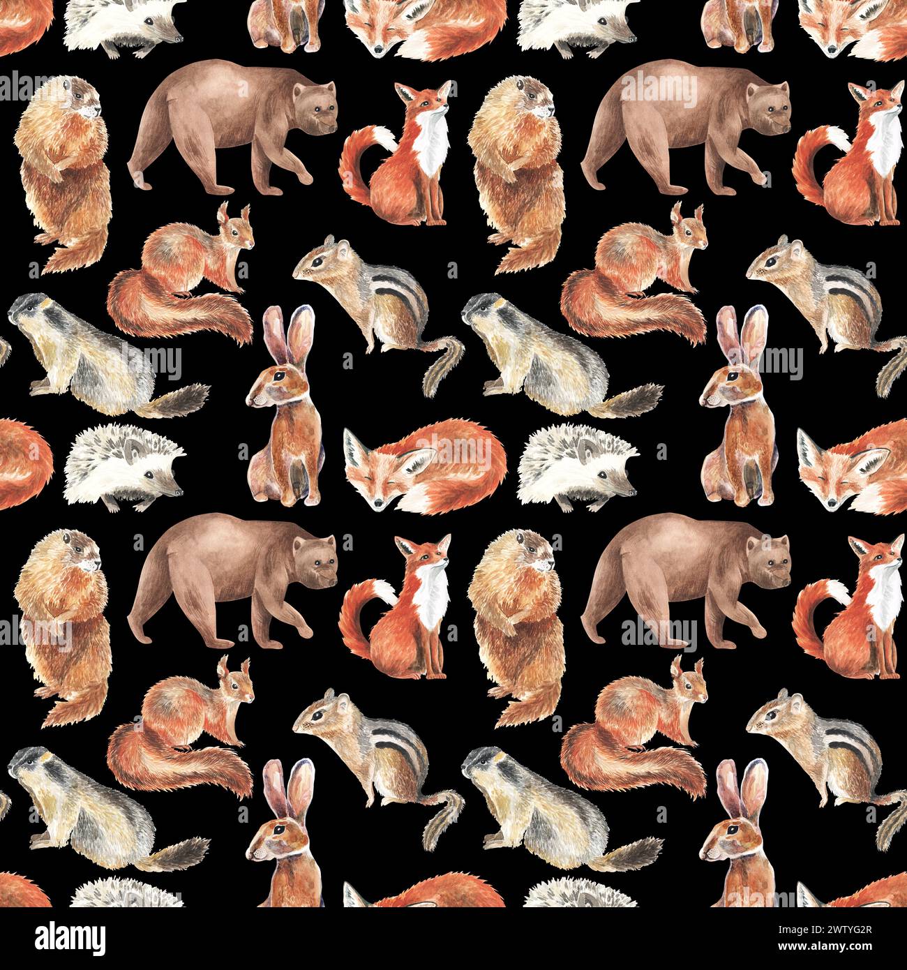 Cute squirrel, groundhog, bear, fox, hare, hedgehog, chipmunk. Forest ...