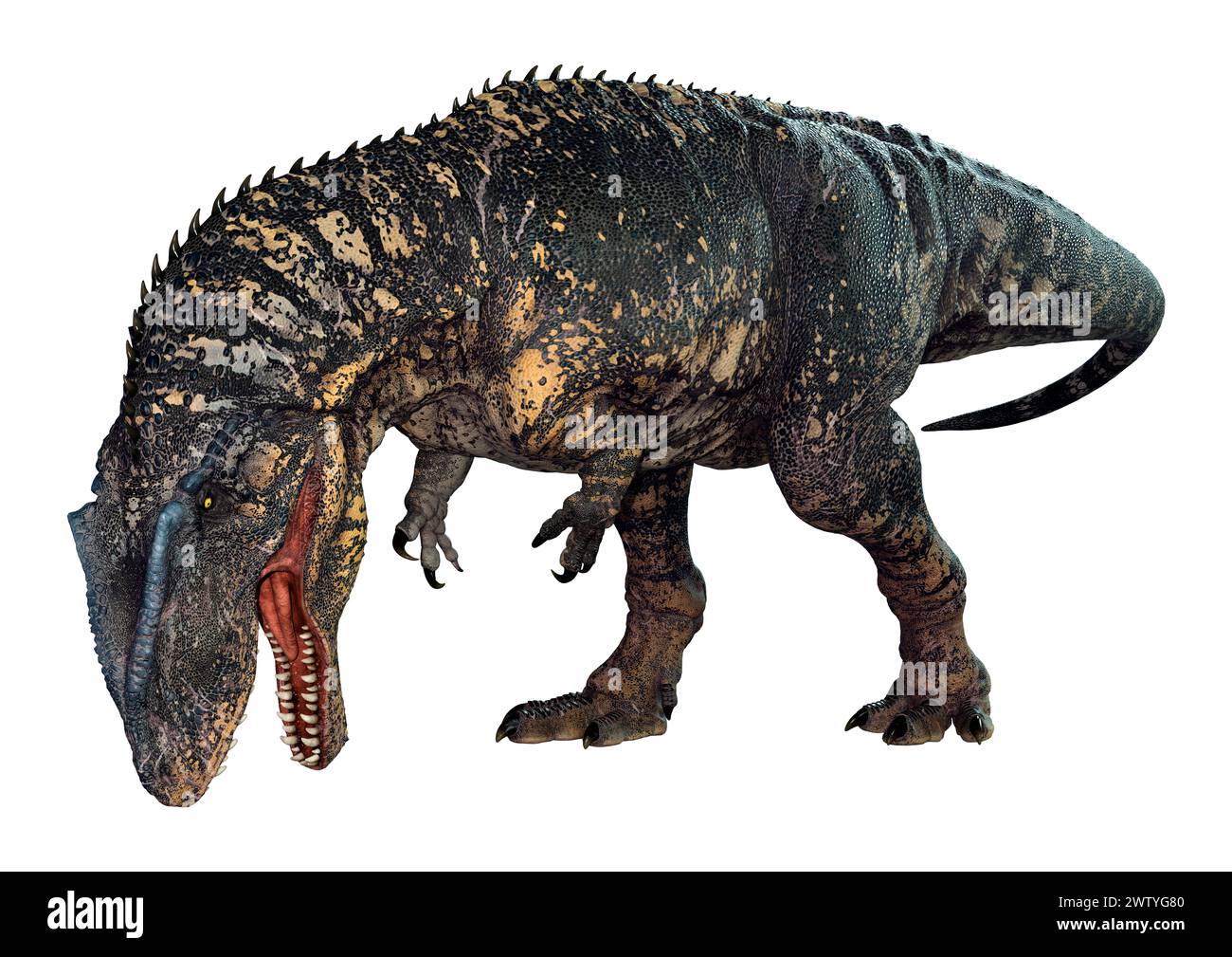 3D rendering of a dinosaur gigantosaurus isolated on white background Stock Photo - Alamy