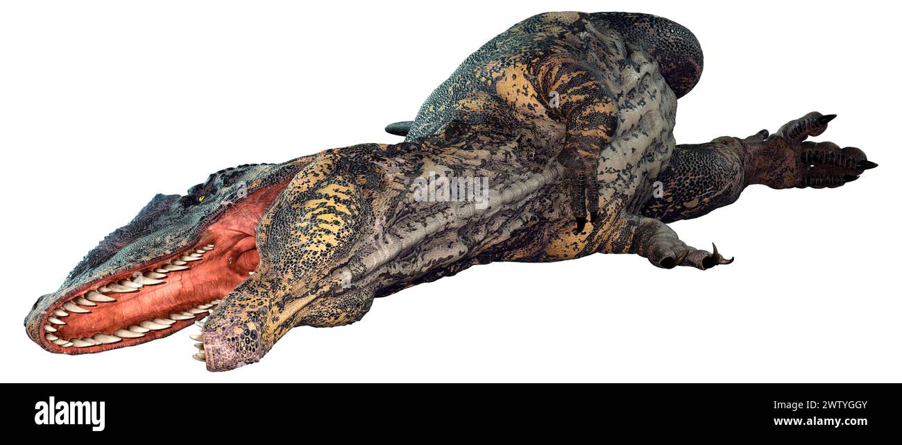 3D rendering of a dinosaur gigantosaurus isolated on white background Stock Photo - Alamy