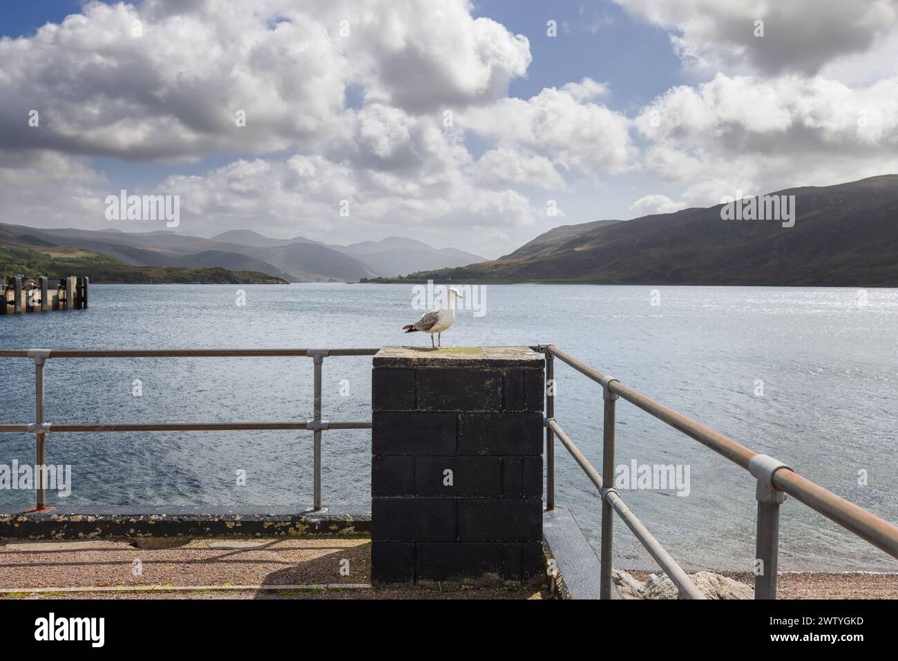 A lone seagull perches on a pier in Ullapool, overlooking a sparkling ...