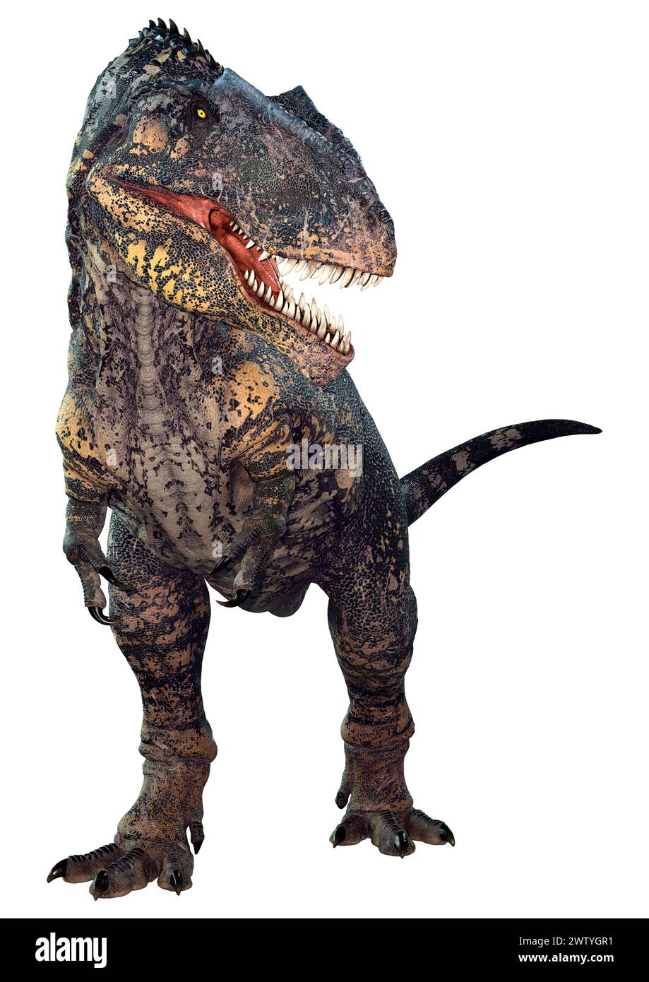 3D rendering of a dinosaur gigantosaurus isolated on white background Stock Photo - Alamy