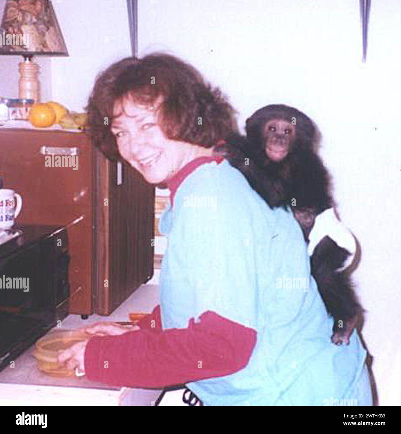 Ape like human hi-res stock photography and images - Alamy