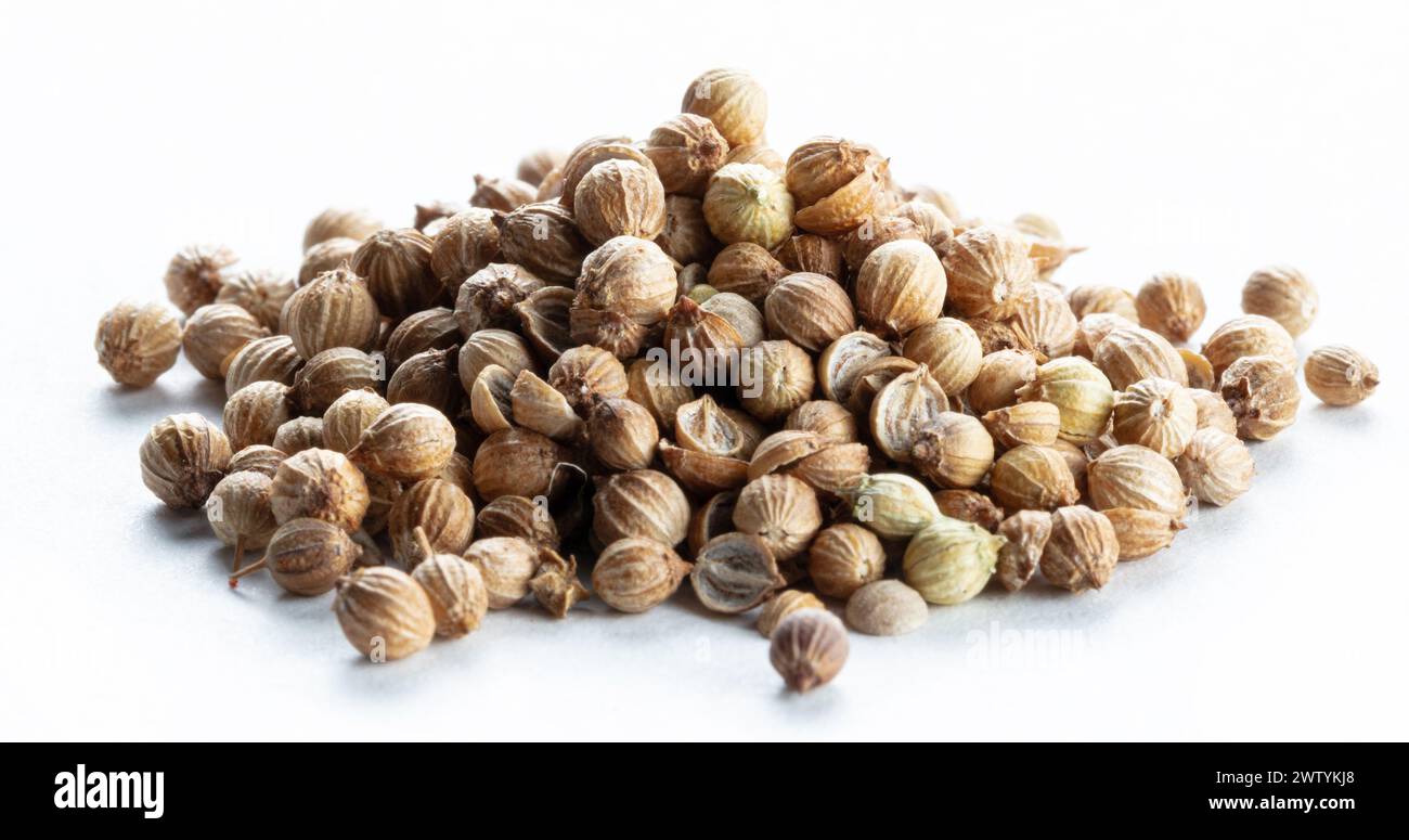 coriander spice bunch isolated white background Stock Photo - Alamy
