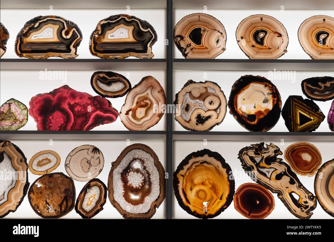 Nodule texture hi-res stock photography and images - Alamy