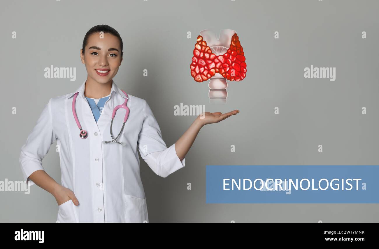 Endocrinologist holding thyroid illustration on grey background, banner ...