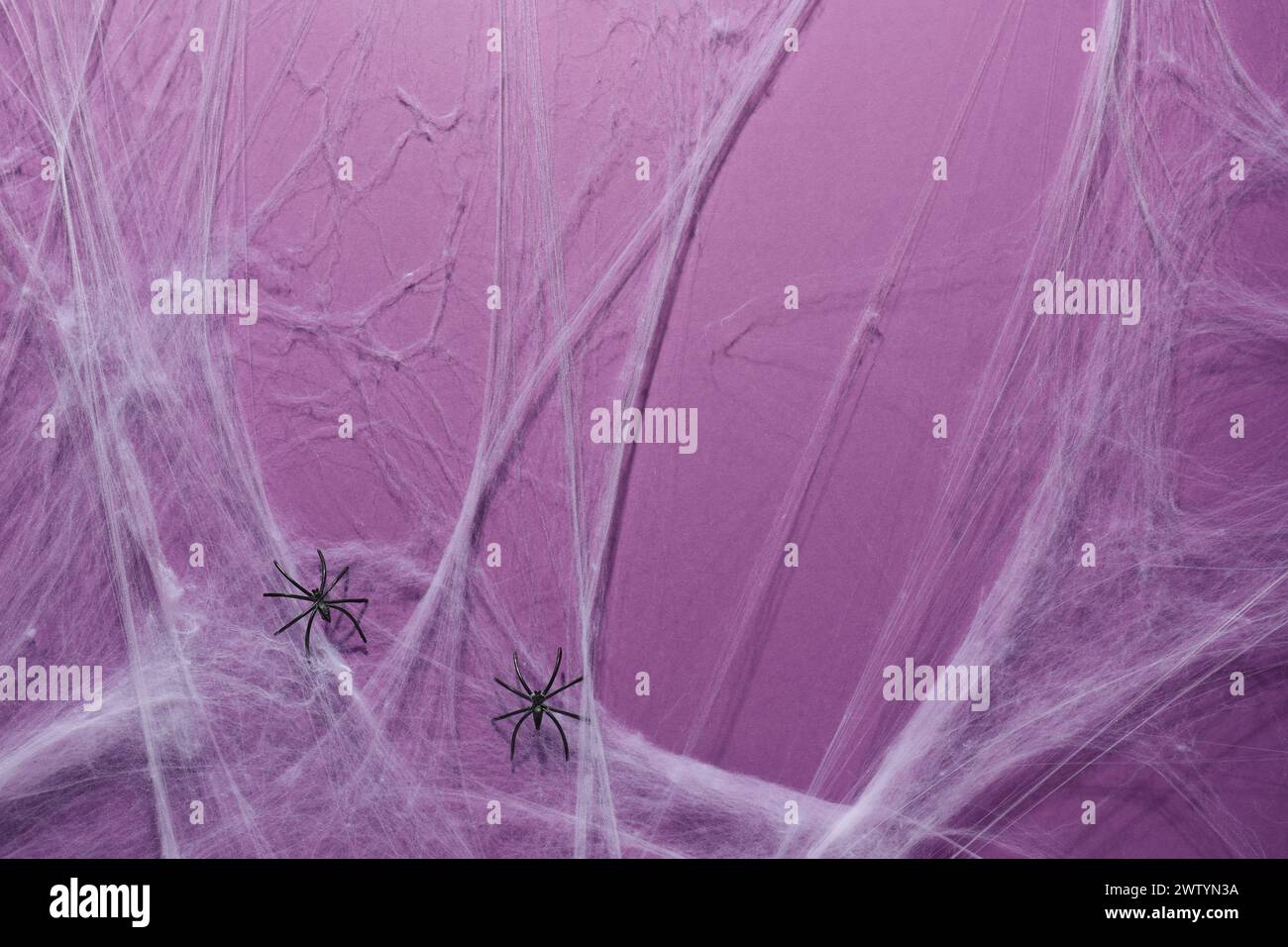 Neglected spiders web hi-res stock photography and images - Alamy