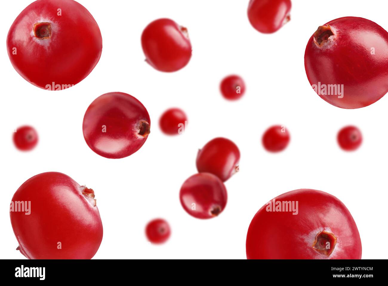 Fresh red cranberries falling on white background Stock Photo - Alamy