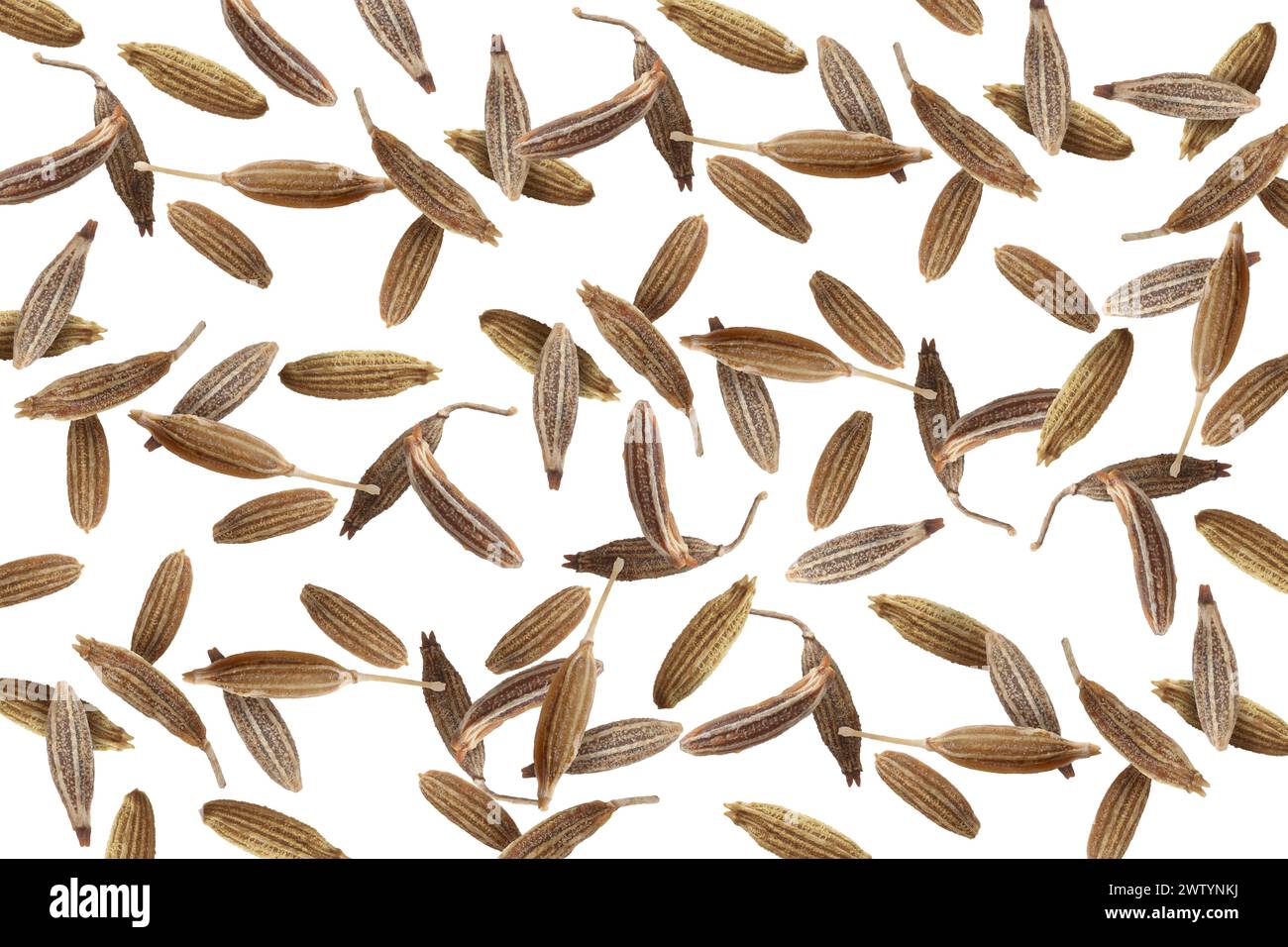 Indian seeds falling hi-res stock photography and images - Alamy