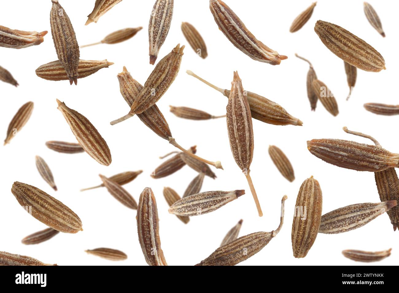 Many cumin seeds falling on white background Stock Photo - Alamy