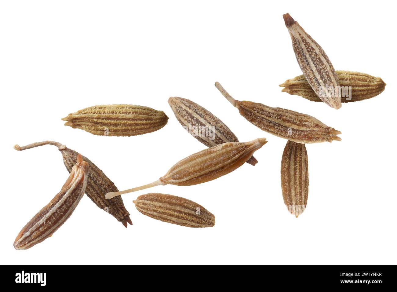 Many cumin seeds falling on white background Stock Photo - Alamy