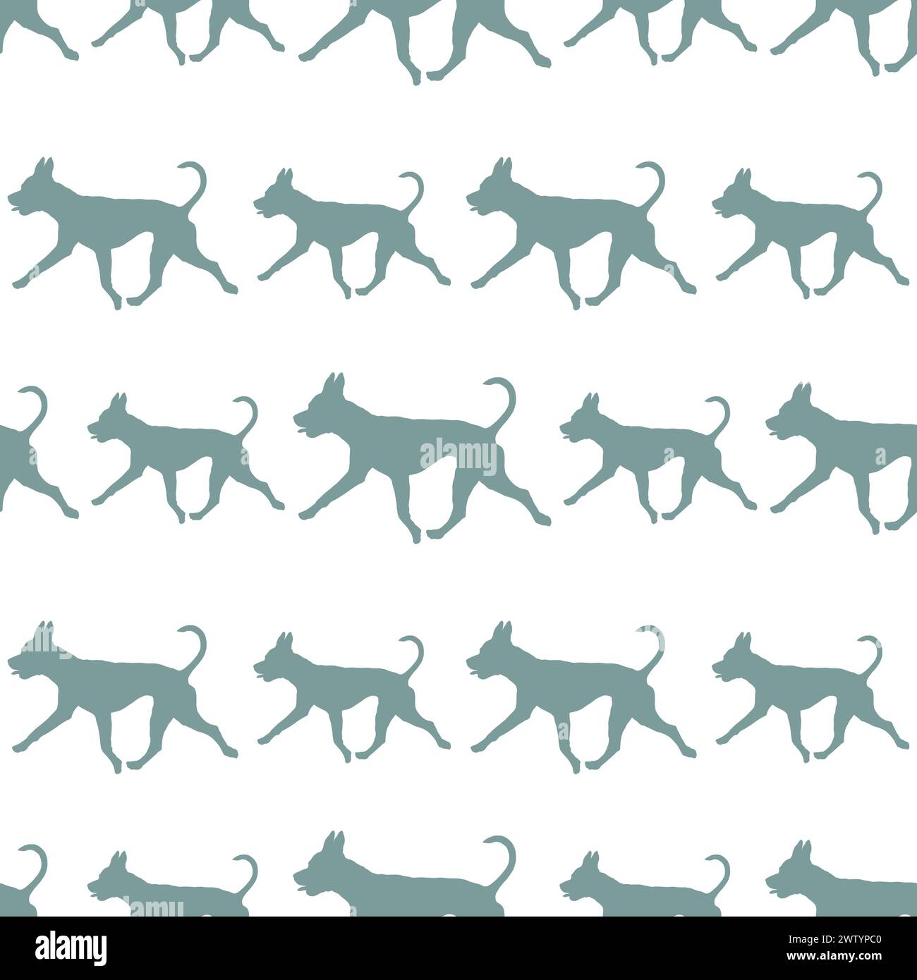 Running american pit bull terrier isolated on a white background ...