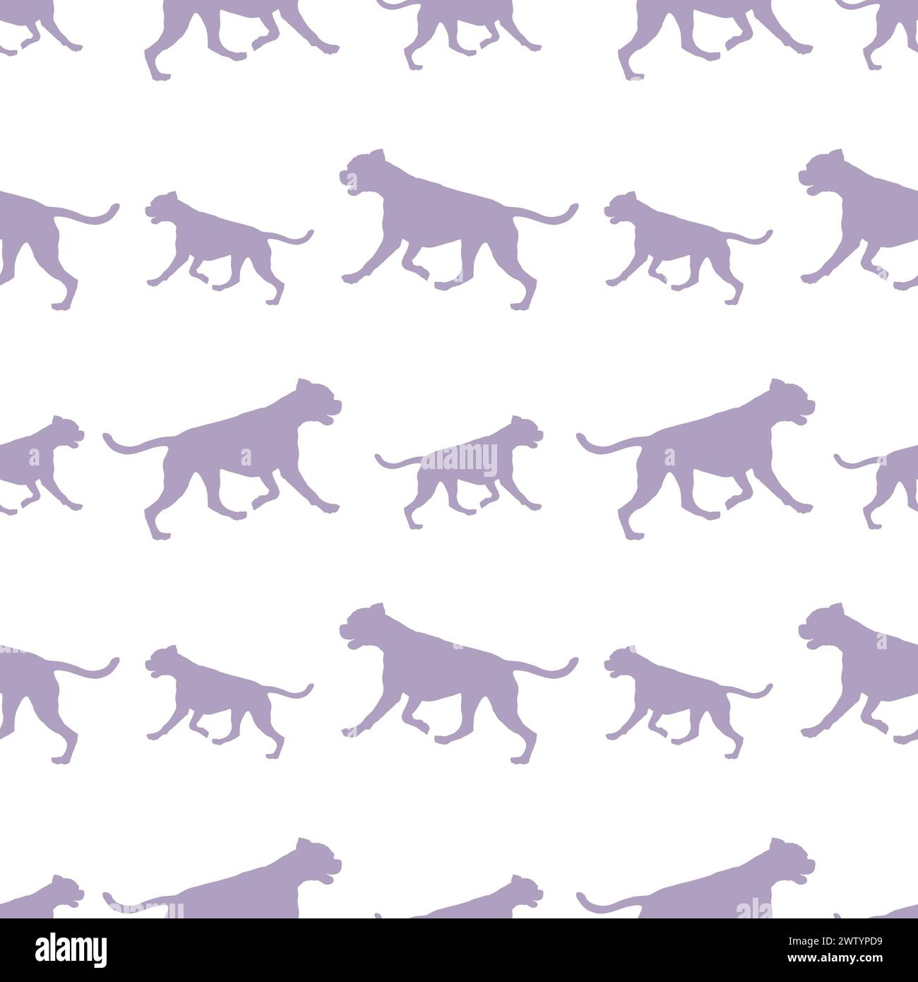 Running and jumping german boxer isolated on a white background ...