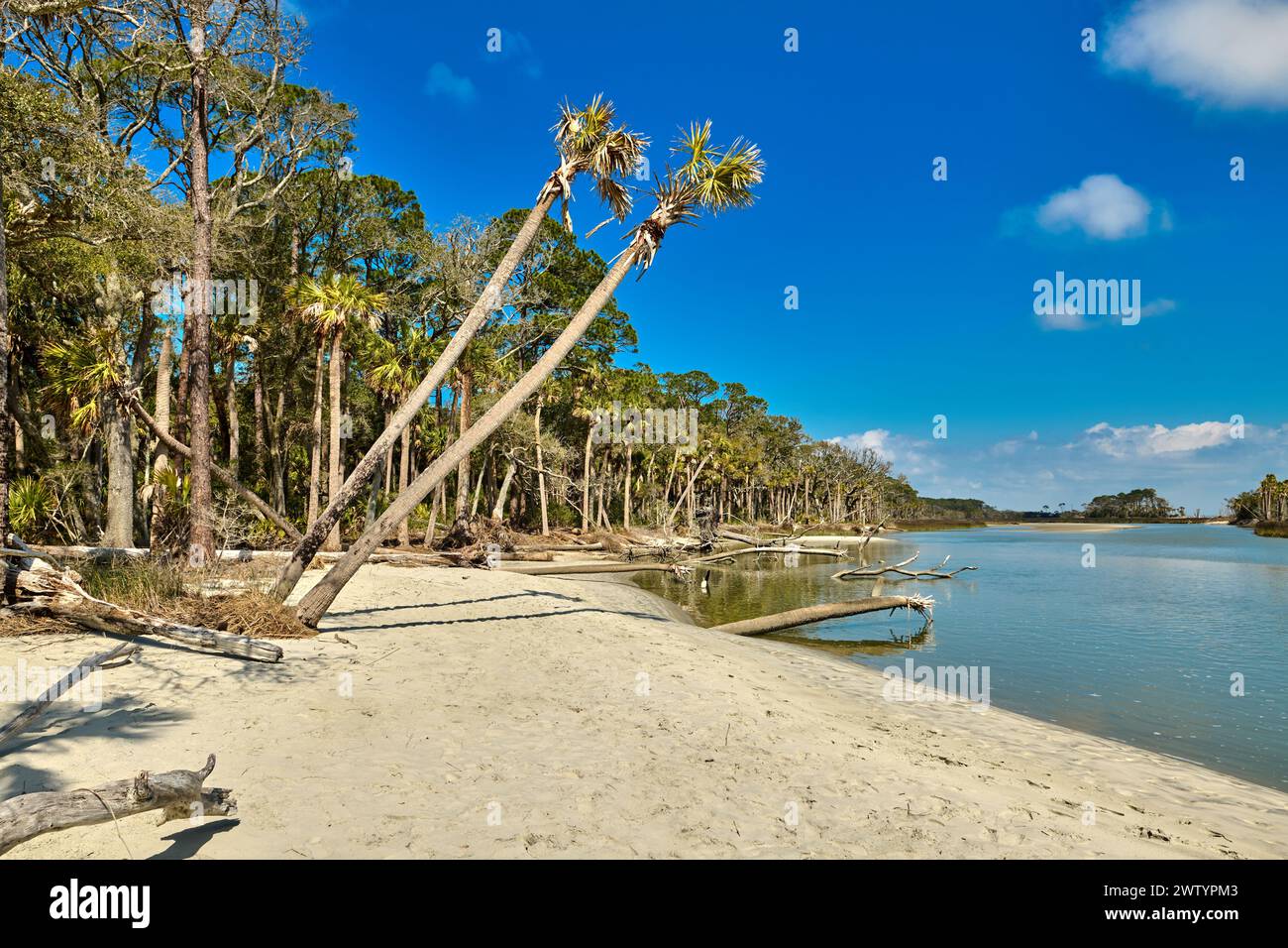 The lagoon area at Hunting Island State Park, SC Stock Photo - Alamy