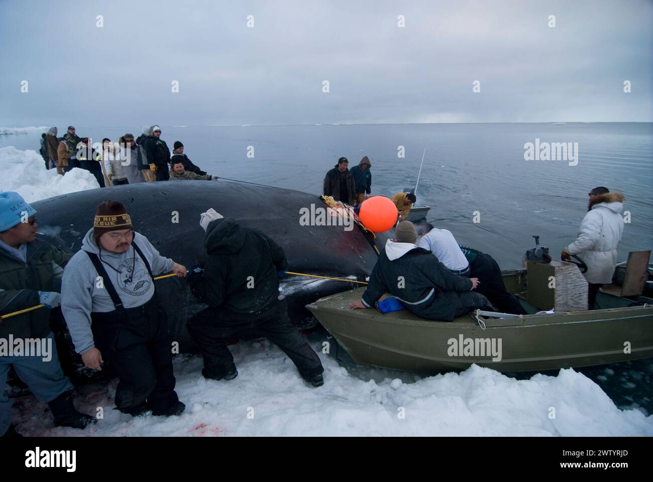 Block and tackel hi-res stock photography and images - Alamy