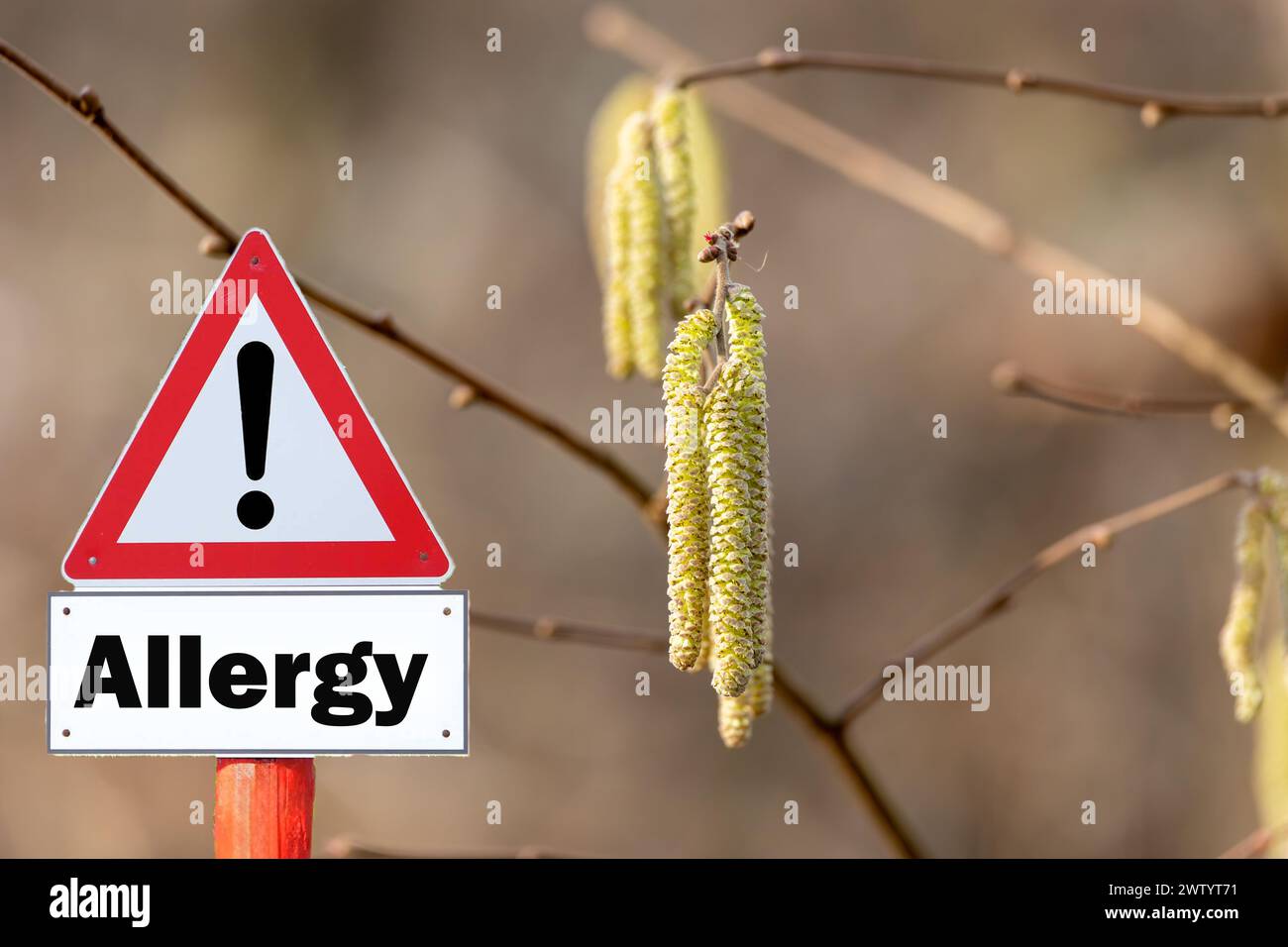 Sign with warning pollen allergy Stock Photo - Alamy
