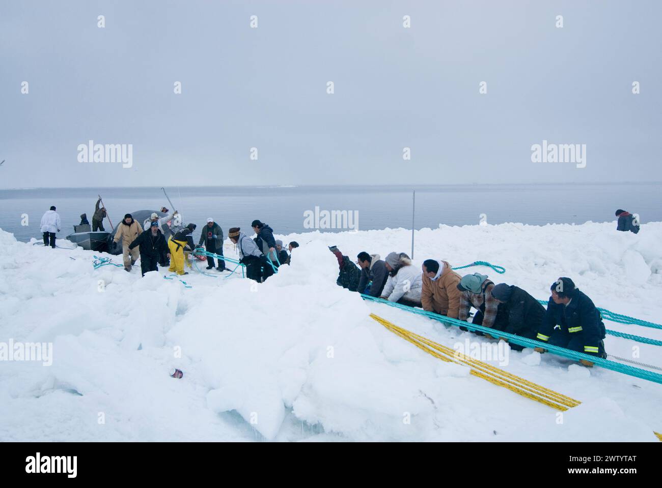 Block and tackel hi-res stock photography and images - Alamy