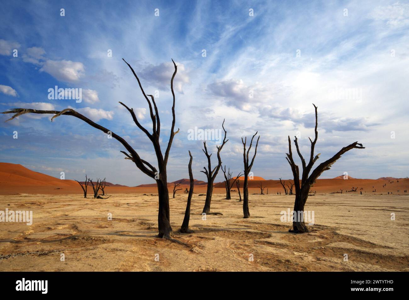 Iconic Namib Desert images of dead trees and red sand dunes at Deadvlei ...