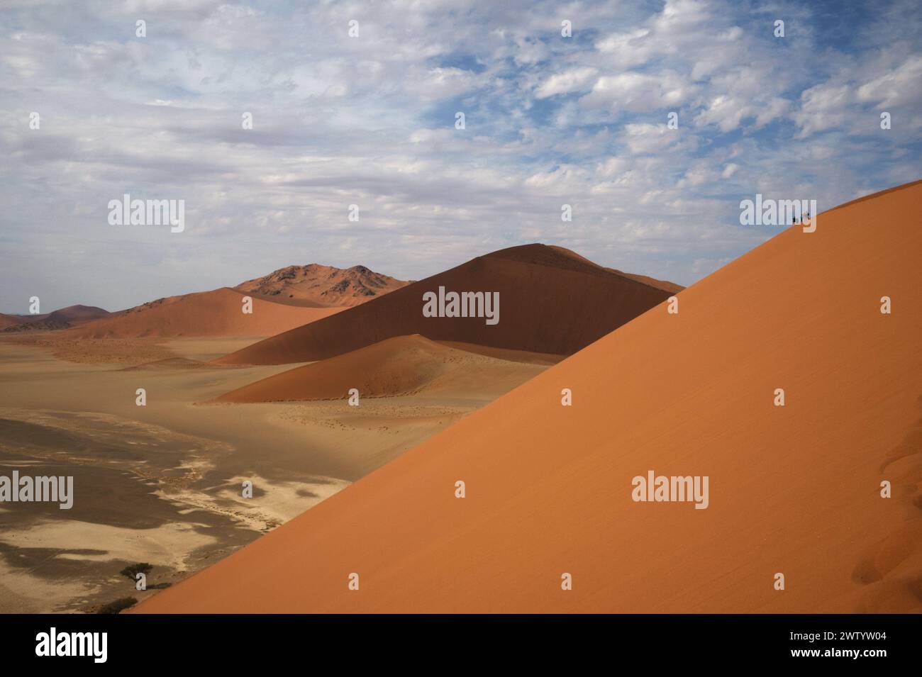 Iconic Namib Desert images of huge red sand dunes in Namibia, Southern ...