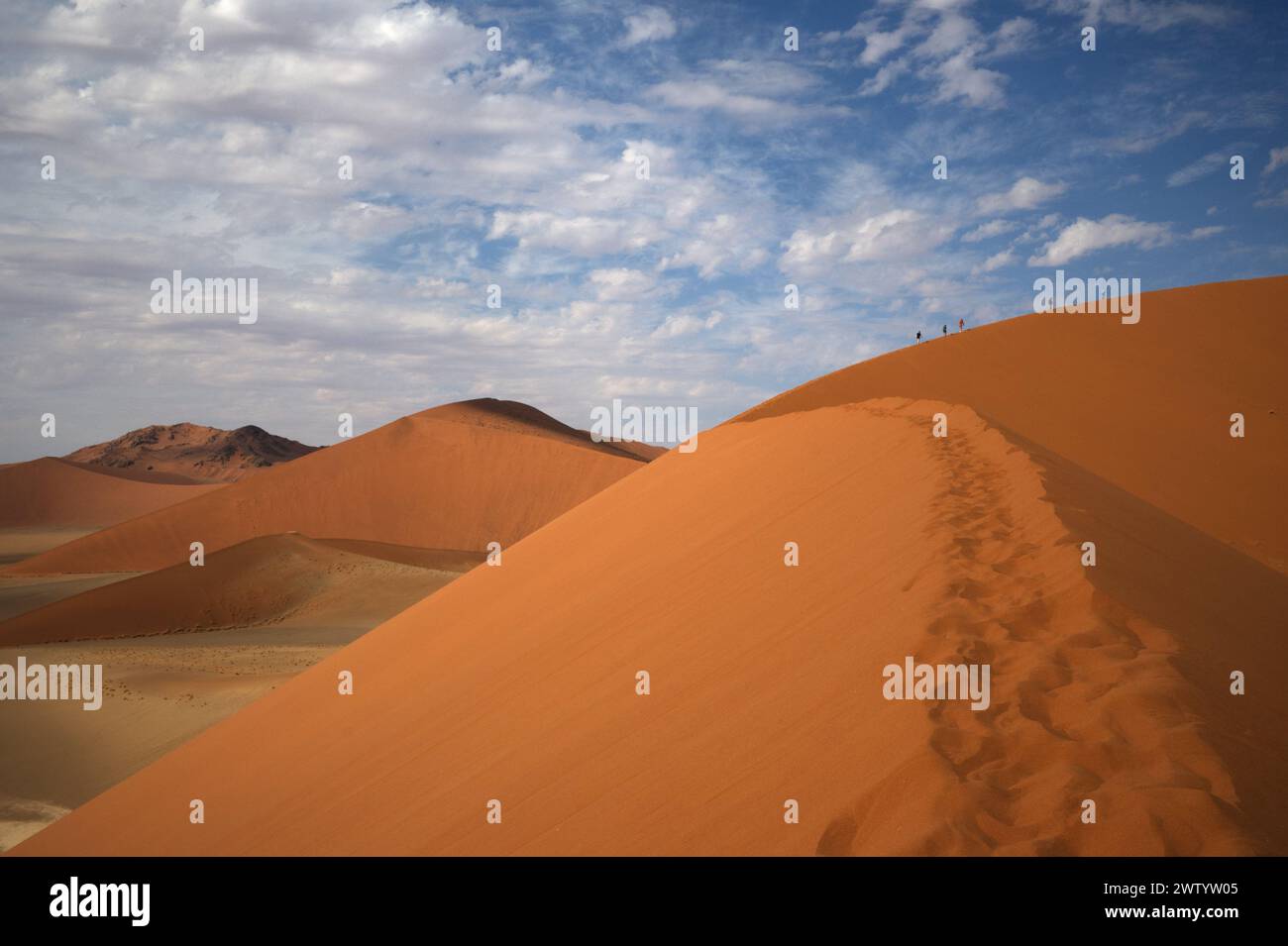Iconic Namib Desert images of huge red sand dunes in Namibia, Southern ...