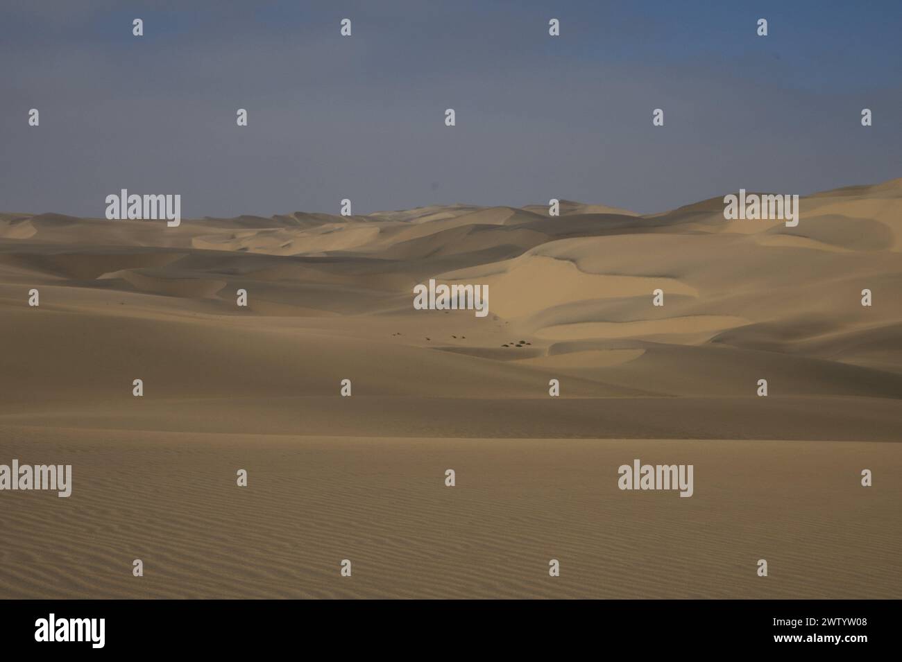Iconic Namib Desert images of huge red sand dunes in Namibia, Southern ...