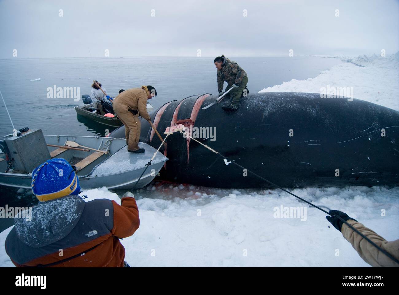 Block and tackel hi-res stock photography and images - Alamy