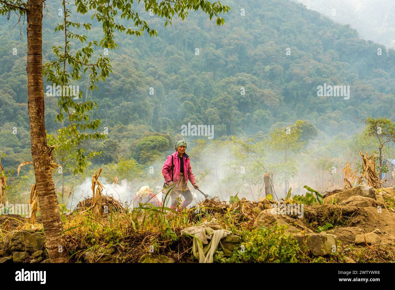 Land being cleared for agriculture in Nagaland, North East India Stock ...