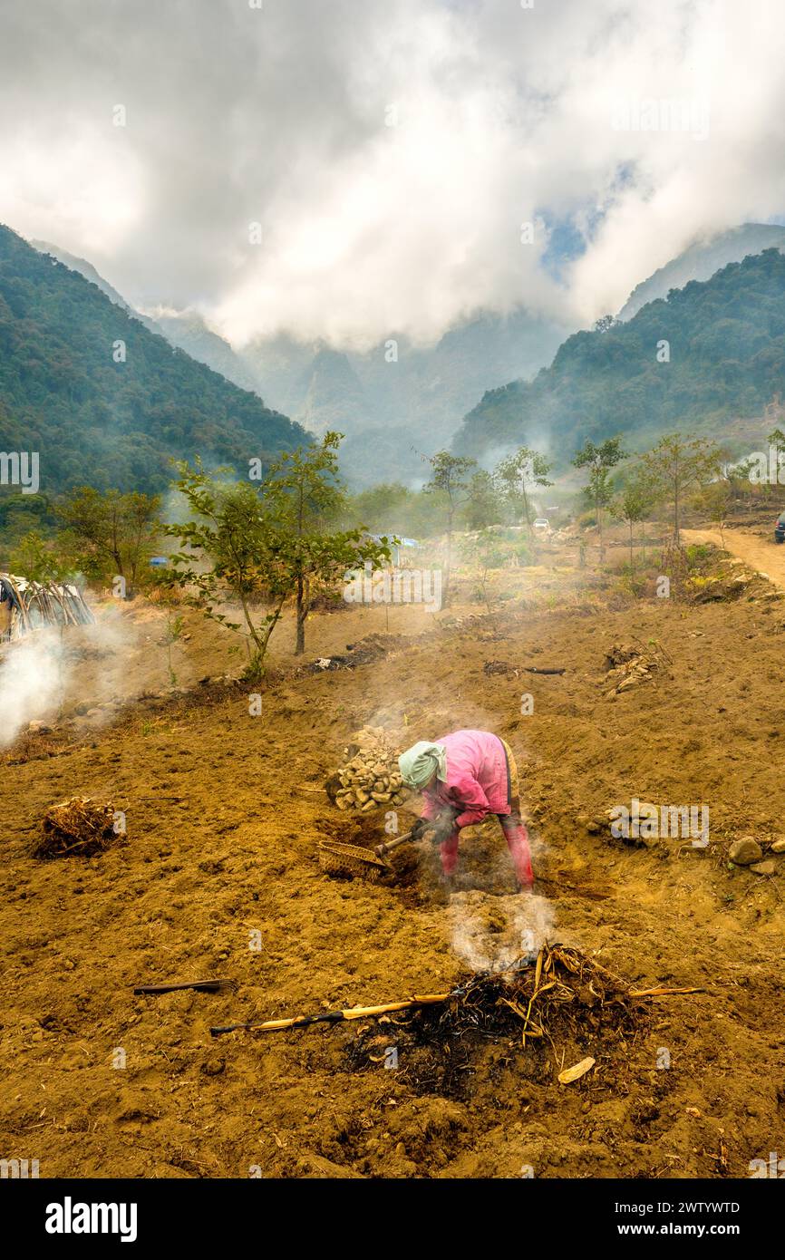 Land being cleared for agriculture in Nagaland, North East India Stock ...