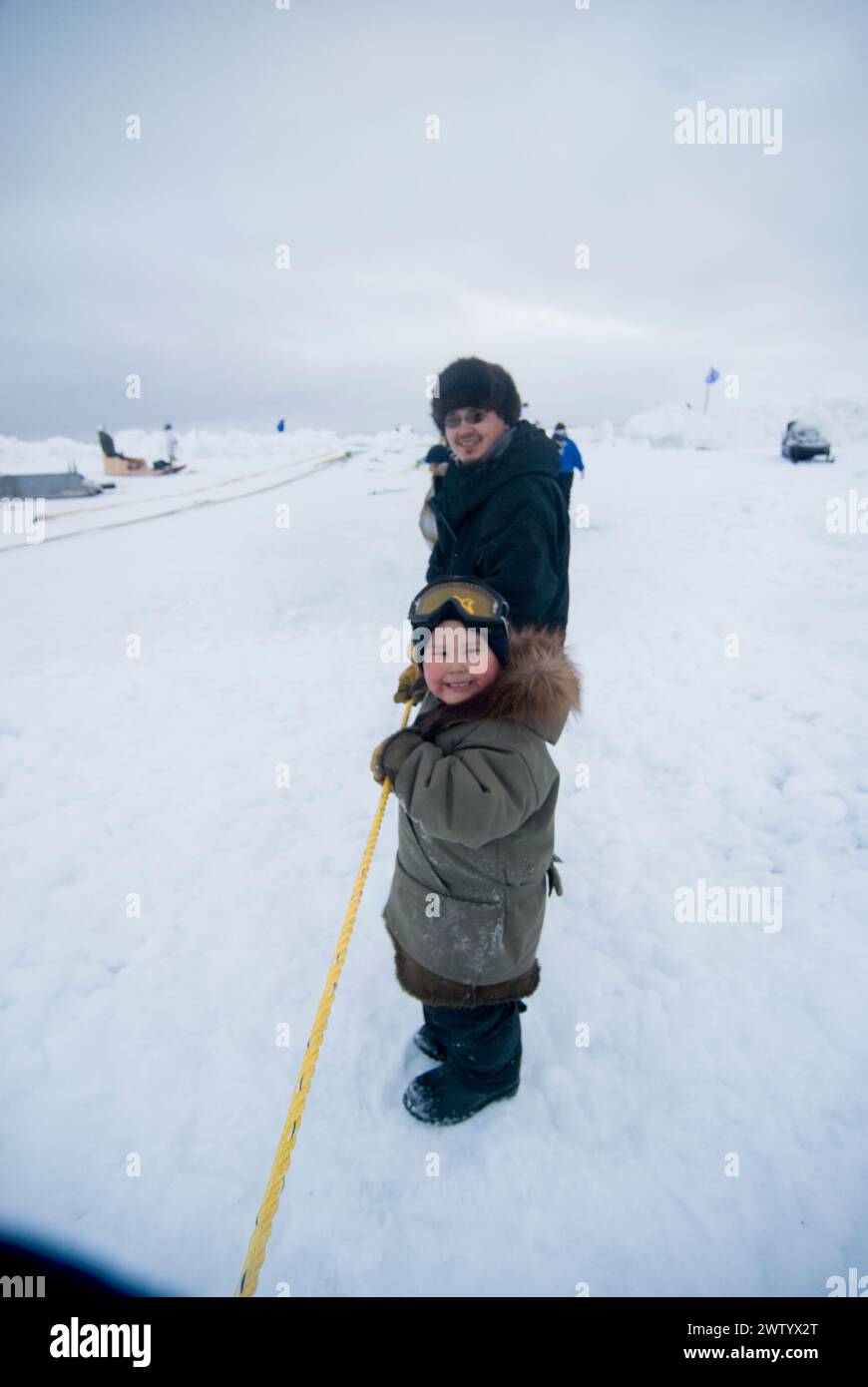 Inupiaq subsistence whalers bowhead whale catch on the pack ice during ...