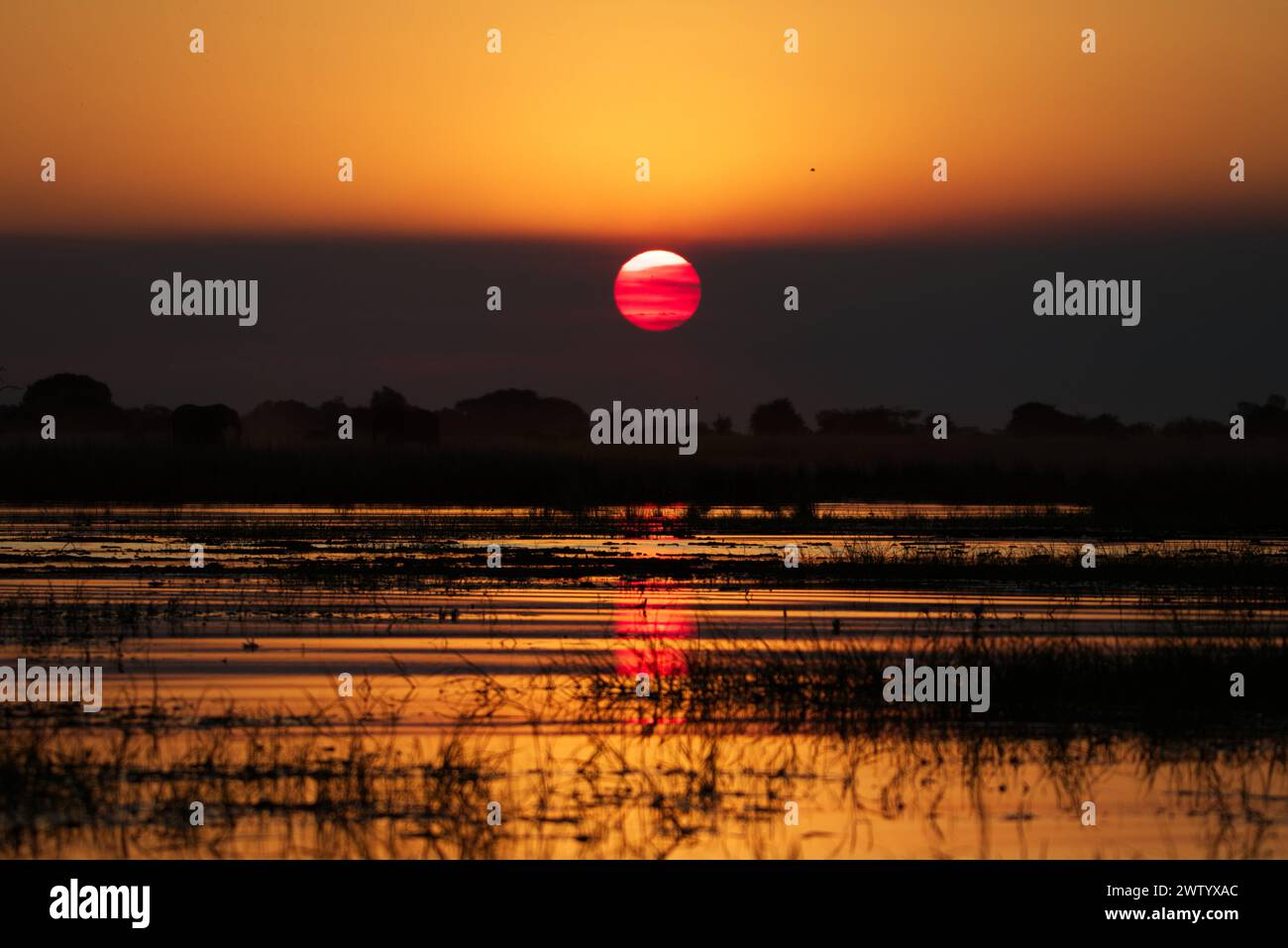 Botswana sunset hi-res stock photography and images - Alamy