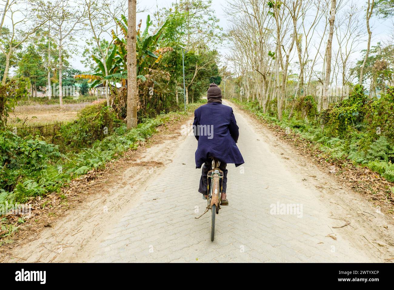 An elderly man cycling on Majuli Island, Assam, India Stock Photo - Alamy