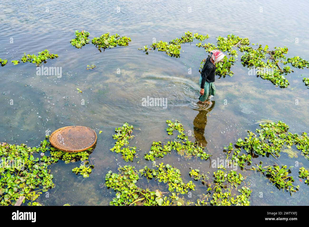 Traditional fishing techniques on Majuli Island, Assam, India Stock Photo - Alamy