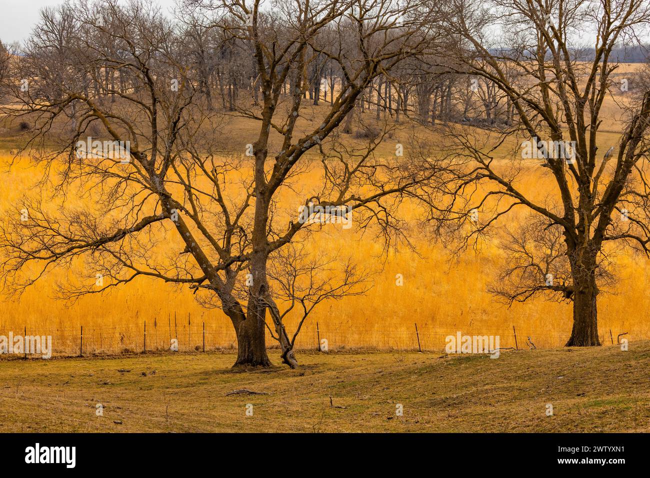 Prairie and trees on private land viewed from Pilot Knob State Park ...