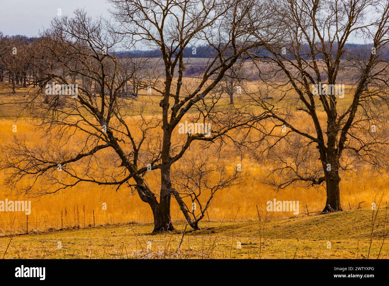 Prairie and trees on private land viewed from Pilot Knob State Park ...