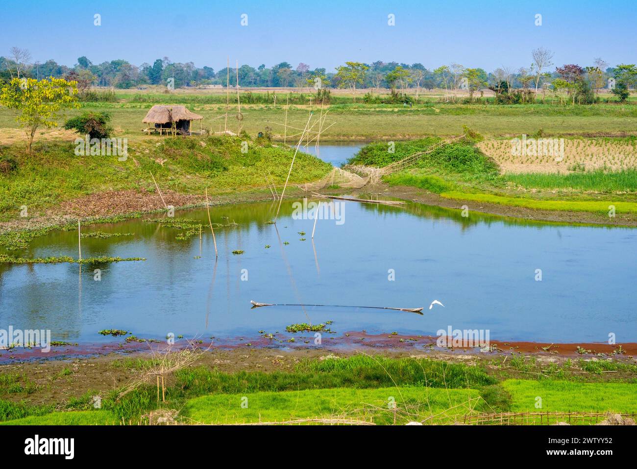 Traditional agriculture on Majuli Island, Assam, India Stock Photo - Alamy