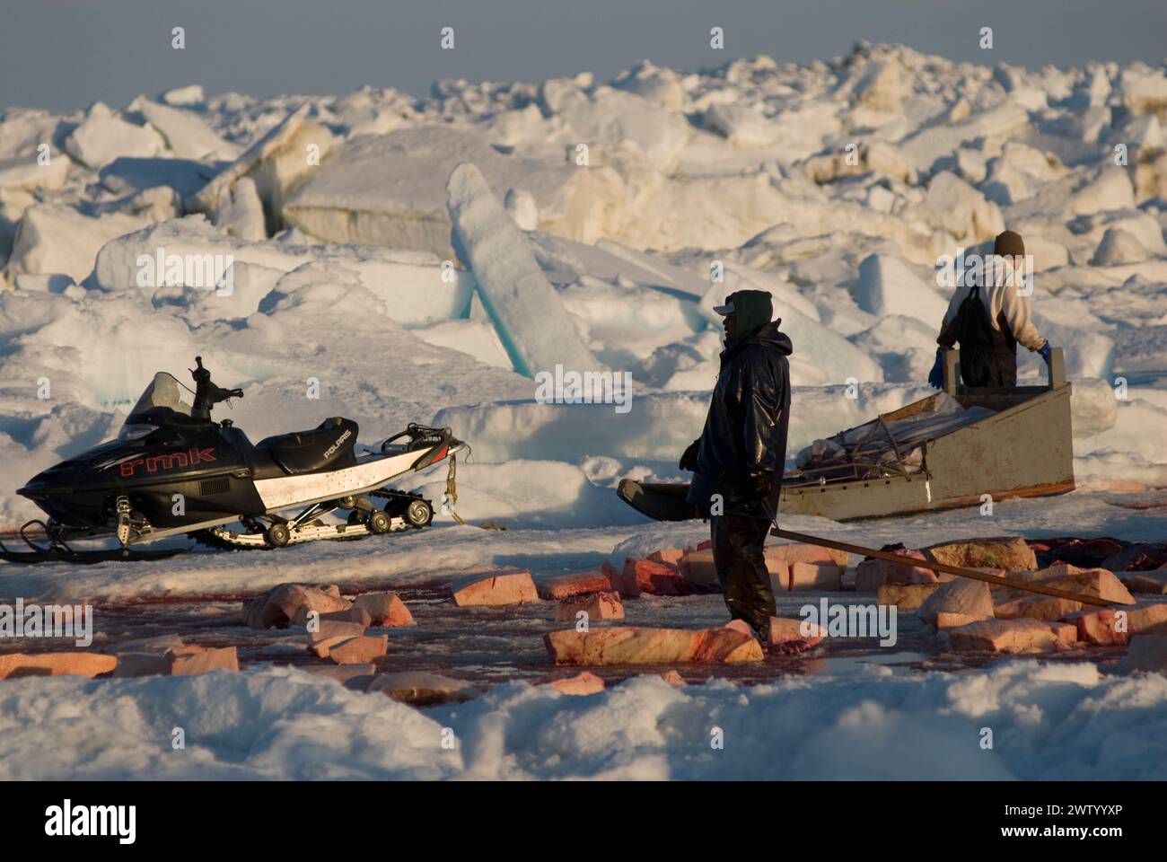 Block and tackel hi-res stock photography and images - Alamy