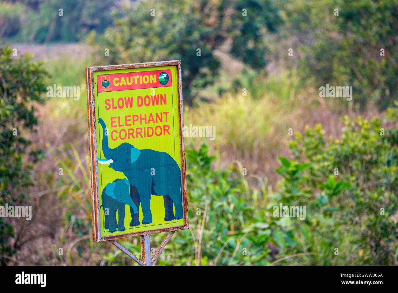 Elephant Corridor sign next to a railway line in Assam, India Stock ...