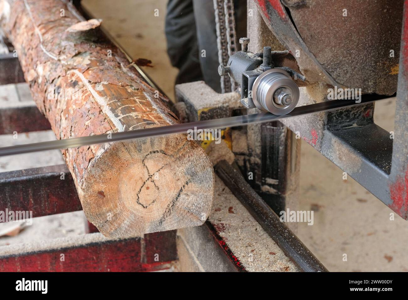 Industrial sawing of logs using sawmill equipment Stock Photo - Alamy