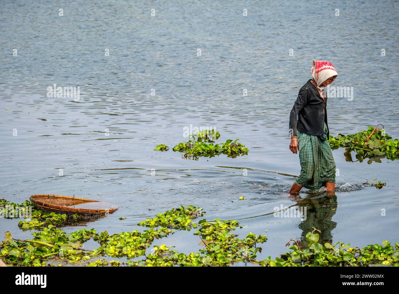 Traditional fishing techniques on Majuli Island, Assam, India Stock Photo - Alamy