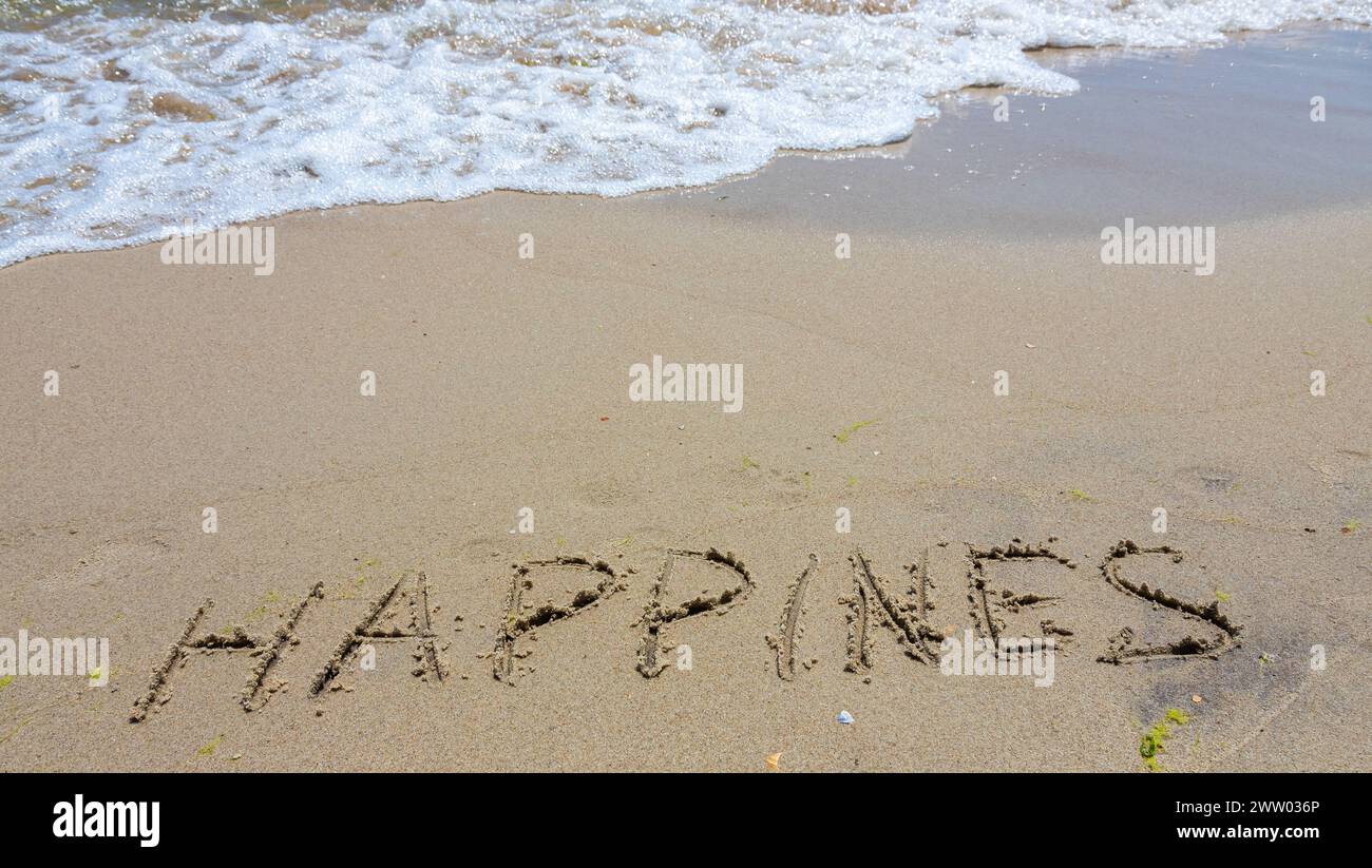 The words Happiness is written in the sand on the beach with a wave ...