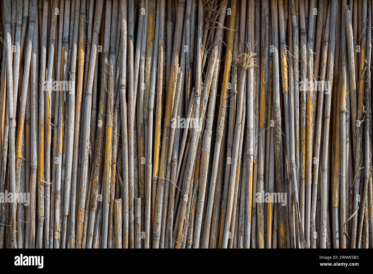 Reed background. Fence from reed. Texture of reed Stock Photo - Alamy
