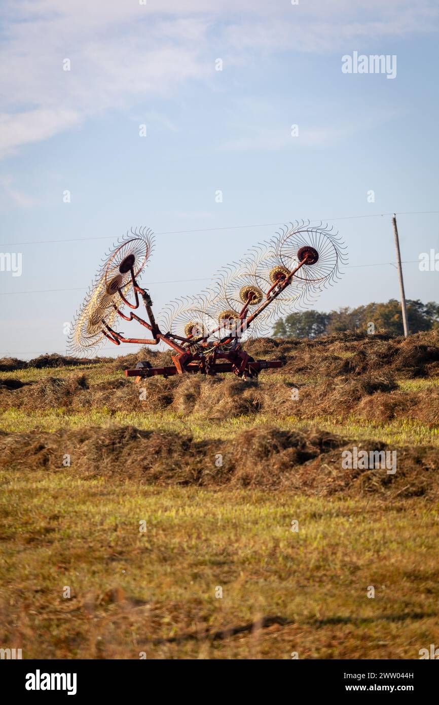 Midwest animal hi-res stock photography and images - Alamy